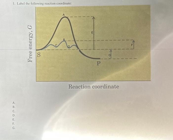 Solved 1. Label the following reaction coordinate: | Chegg.com