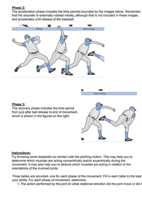 Solved EXS 321 - Applied Anatomy Activity ±6 Upper Extremity | Chegg.com
