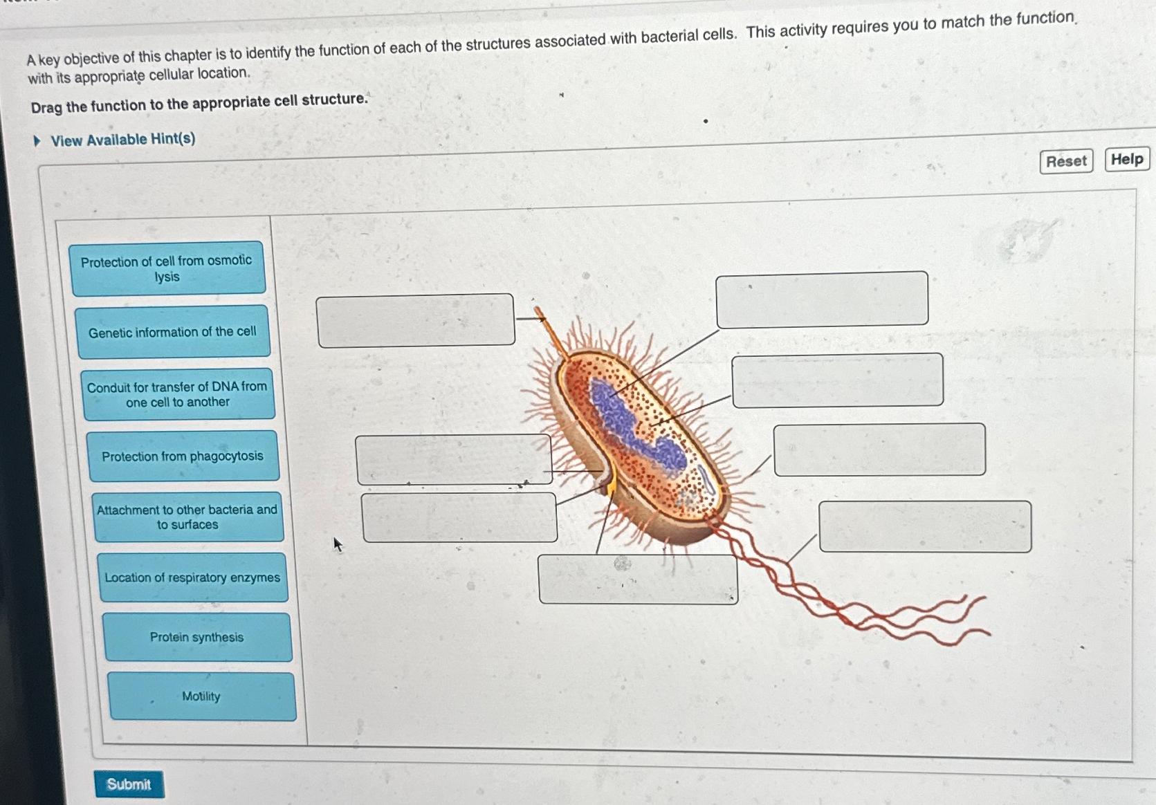 Solved A key objective of this chapter is to identify the | Chegg.com
