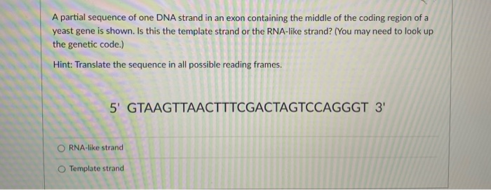 Solved Given the partial RNA sequence for a gene, what is | Chegg.com