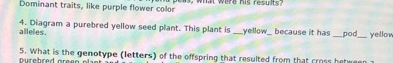 Solved Diagram a purebred yellow seed plant. This plant | Chegg.com