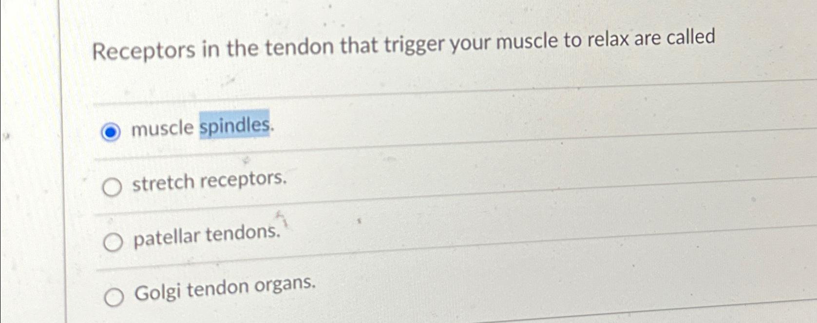 Solved Receptors in the tendon that trigger your muscle to | Chegg.com