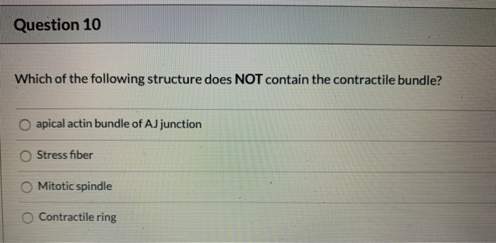 Solved Question 10 Which of the following structure does NOT | Chegg.com