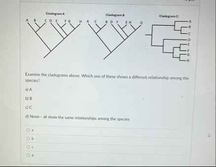 Solved Examine the cladograms above. Which one of these | Chegg.com