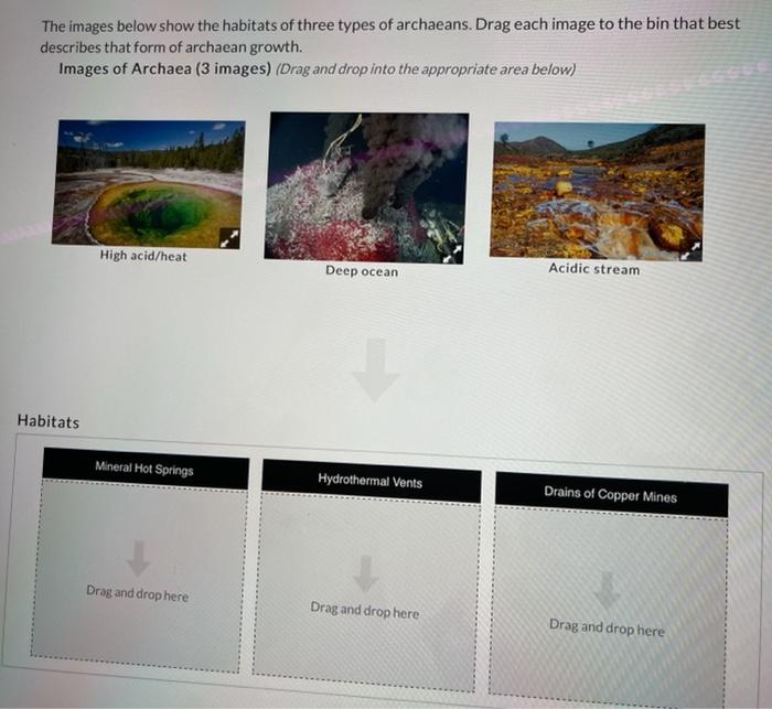 Solved The images below show the habitats of three types of | Chegg.com