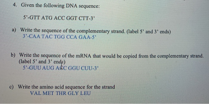 Solved 4. Given the following DNA sequence: 5'-GTT ATG ACC | Chegg.com