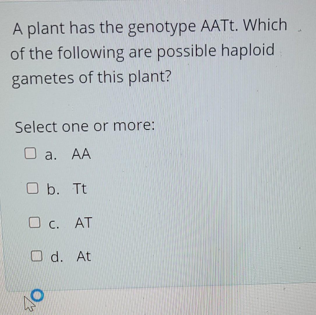 Solved A plant has the genotype AATt. Which of the following | Chegg.com