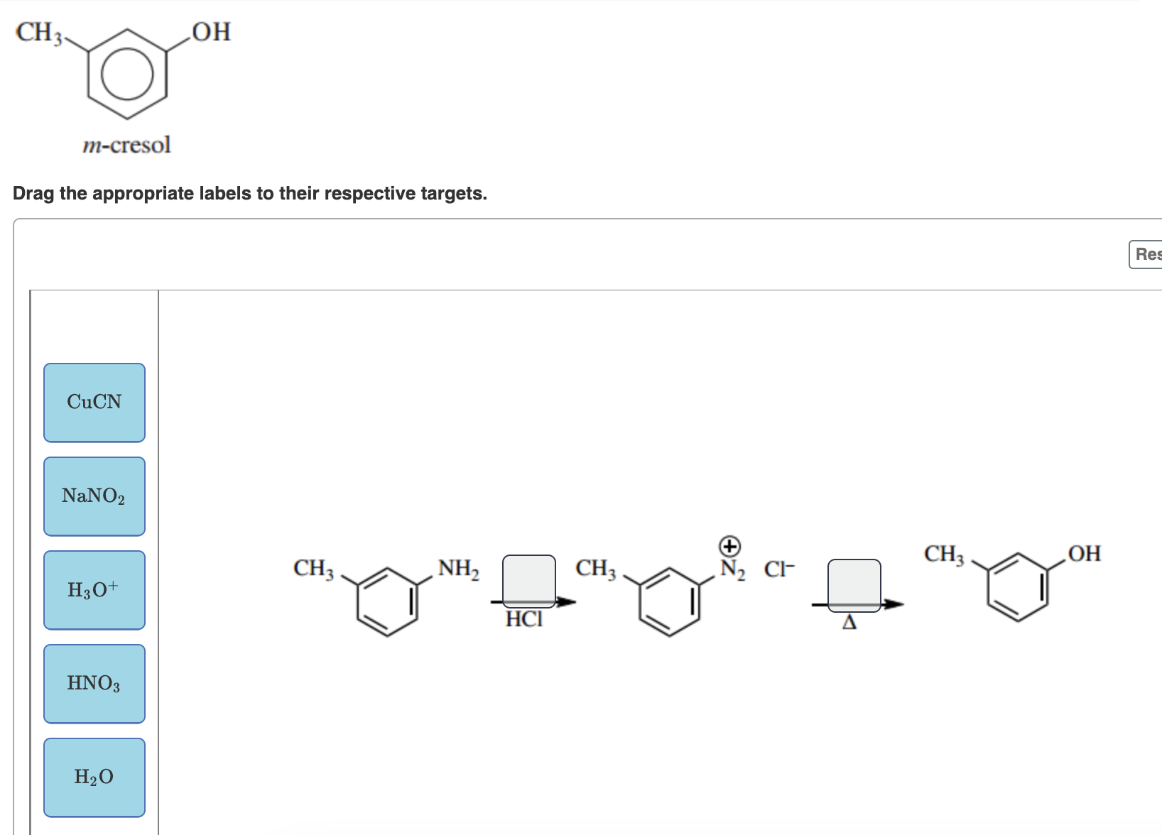 Drag the appropriate labels to their respective | Chegg.com