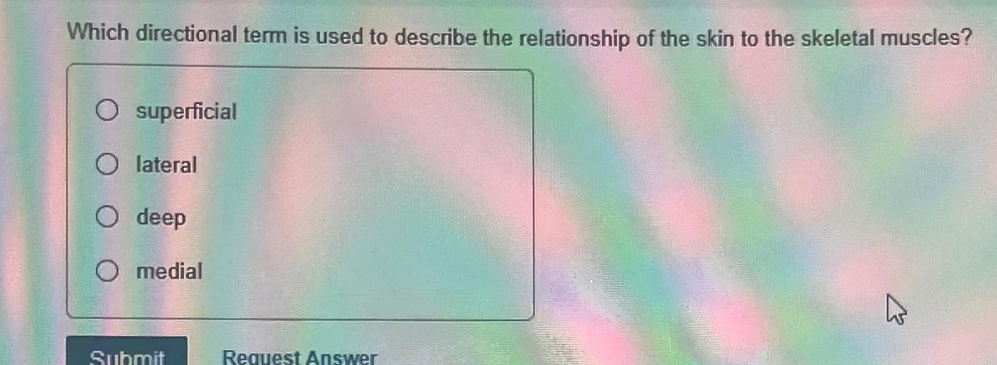 Solved Which directional term is used to describe the | Chegg.com