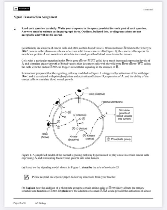 Solved Signal Transduction Assignment 2. Read each question | Chegg.com
