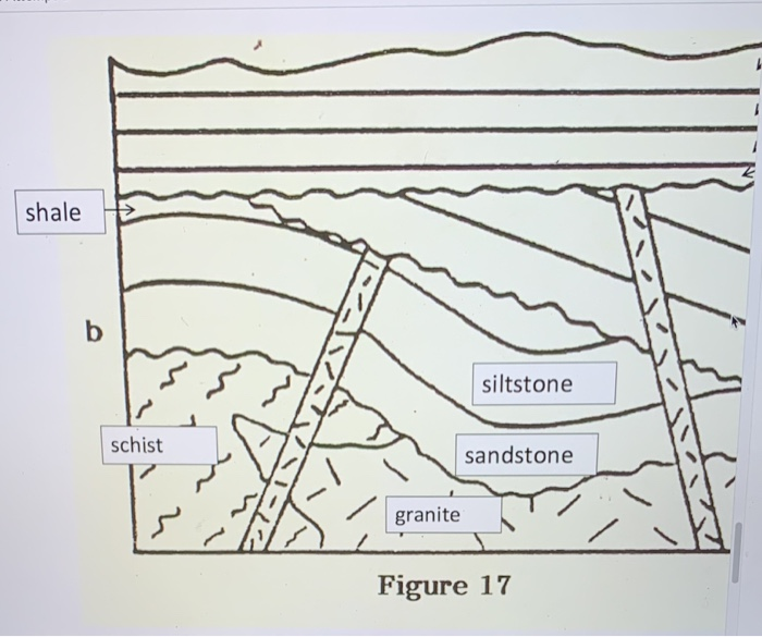 Solved shale siltstone schist sandstone granite Figure 17 | Chegg.com