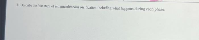 Solved 11.Describe the four steps of intramembranous | Chegg.com