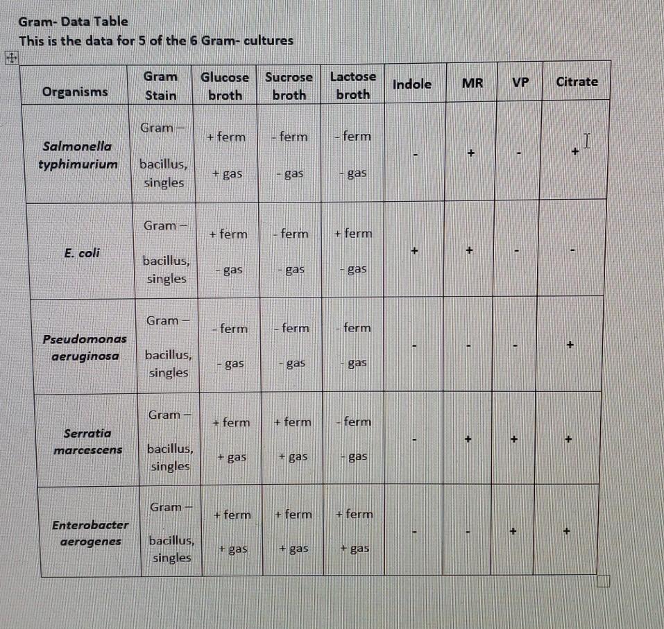 Solved Gram-Data Table This is the data for 5 of the 6 | Chegg.com