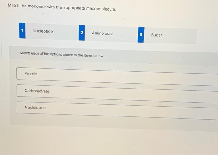 Solved Match the monomer with the appropriate macromolecule. | Chegg.com