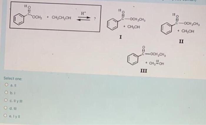 Solved What is the product of the following reaction? (18O | Chegg.com