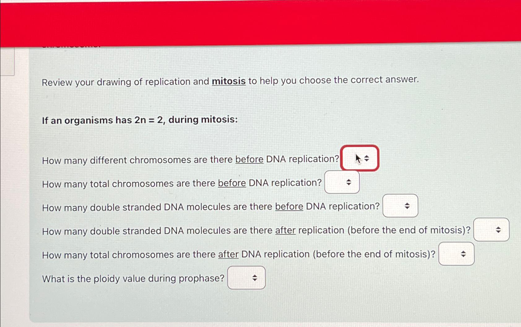 Solved Review your drawing of replication and mitosis to | Chegg.com