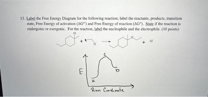 Solved 13. Label the Free Energy Diagram for the following | Chegg.com
