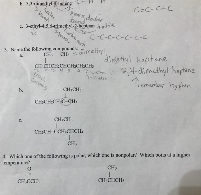 Solved s branch, -Brancho b. 3,3-dimethyl-1-butene ( H H | Chegg.com