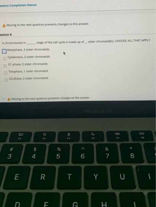 Solved estion Completion Status: Moving to the next question | Chegg.com Solved estion Completion Status: Moving to the next question | Chegg.com