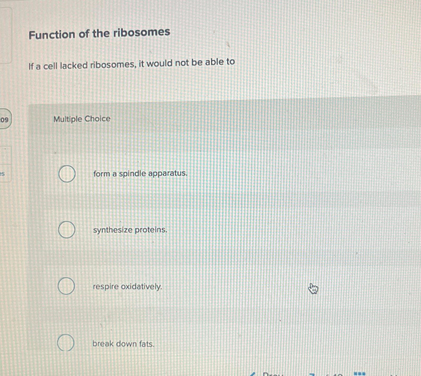 Solved Function of the ribosomesIf a cell lacked ribosomes, | Chegg.com