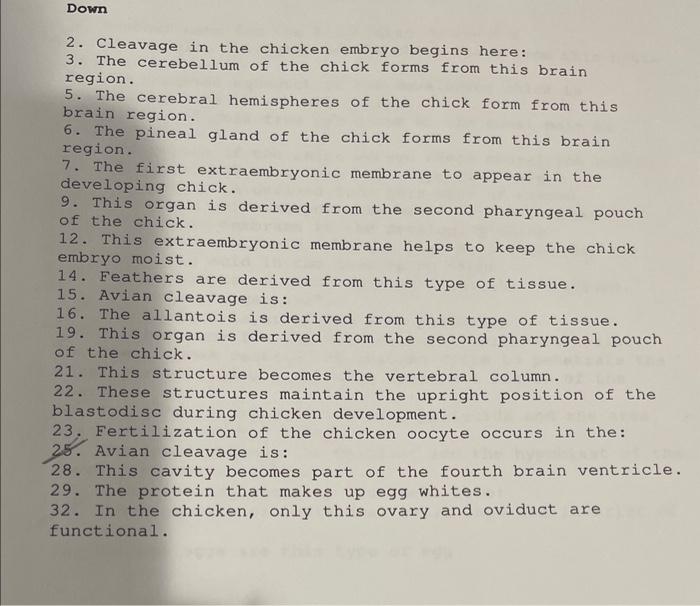 Solved 2. Cleavage in the chicken embryo begins here: 3. The | Chegg.com
