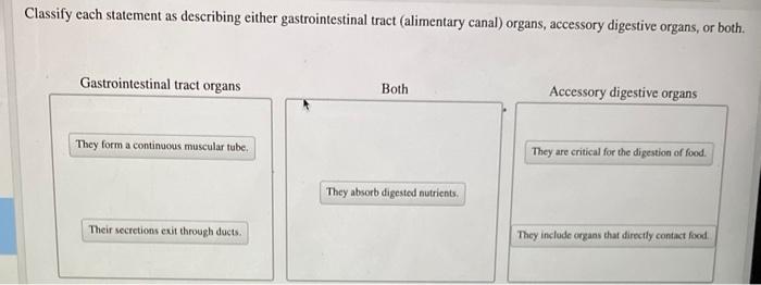 Classify each statement as describing either | Chegg.com