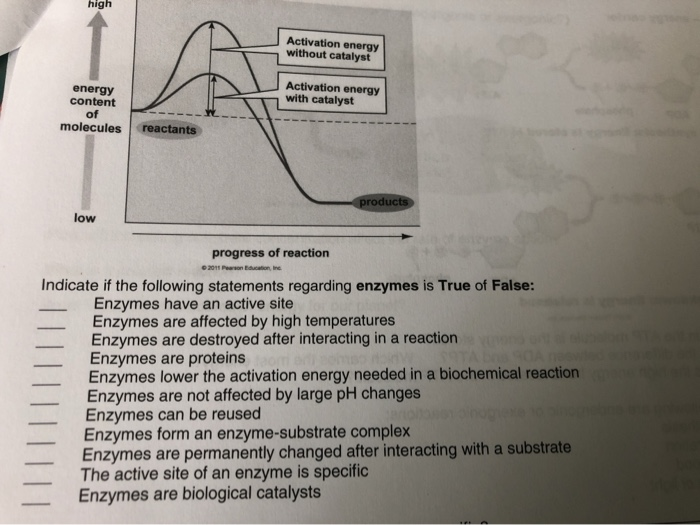 Solved high Activation energy without catalyst Activation | Chegg.com