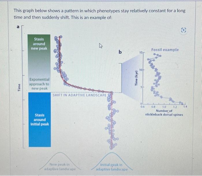 Solved This graph below shows a pattern in which phenotypes | Chegg.com