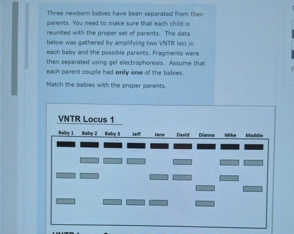Solved Three newborn babies have been separated from their | Chegg.com
