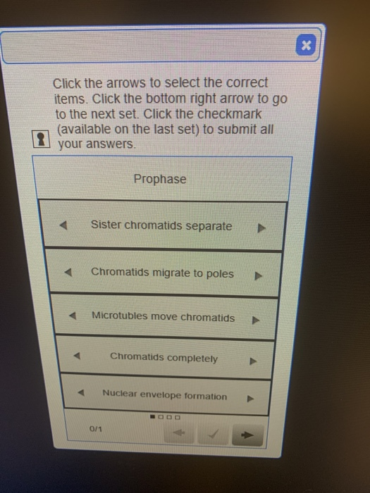 Solved Click the arrows to select the correct items. Click | Chegg.com