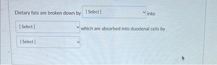 Solved Dietary fats are broken down by [Select] into | Chegg.com