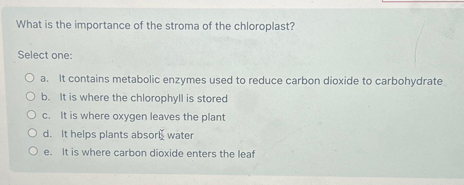 Solved What is the importance of the stroma of the | Chegg.com