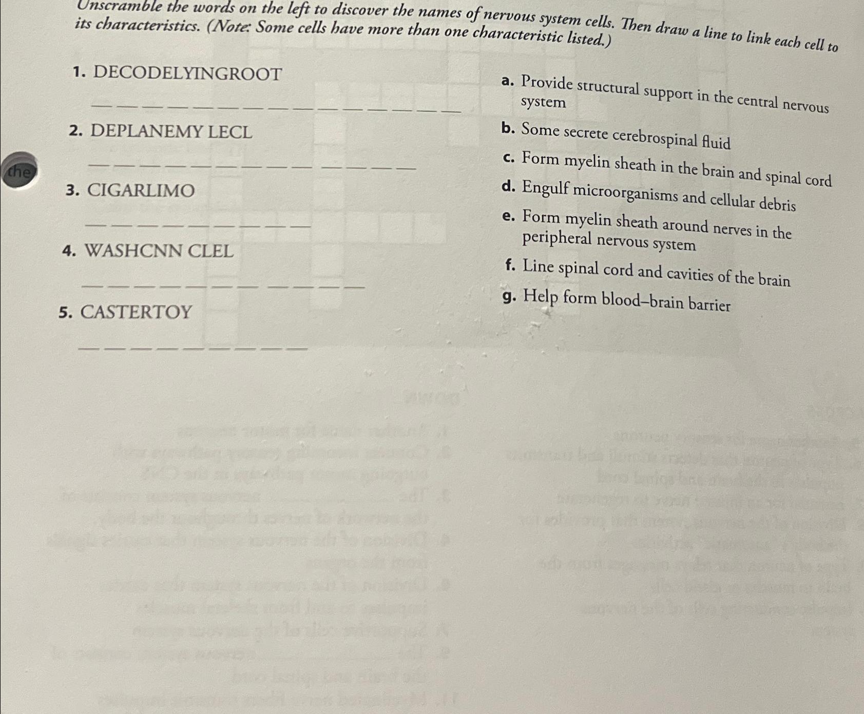 Solved Unscramble the words on the left to discover the | Chegg.com