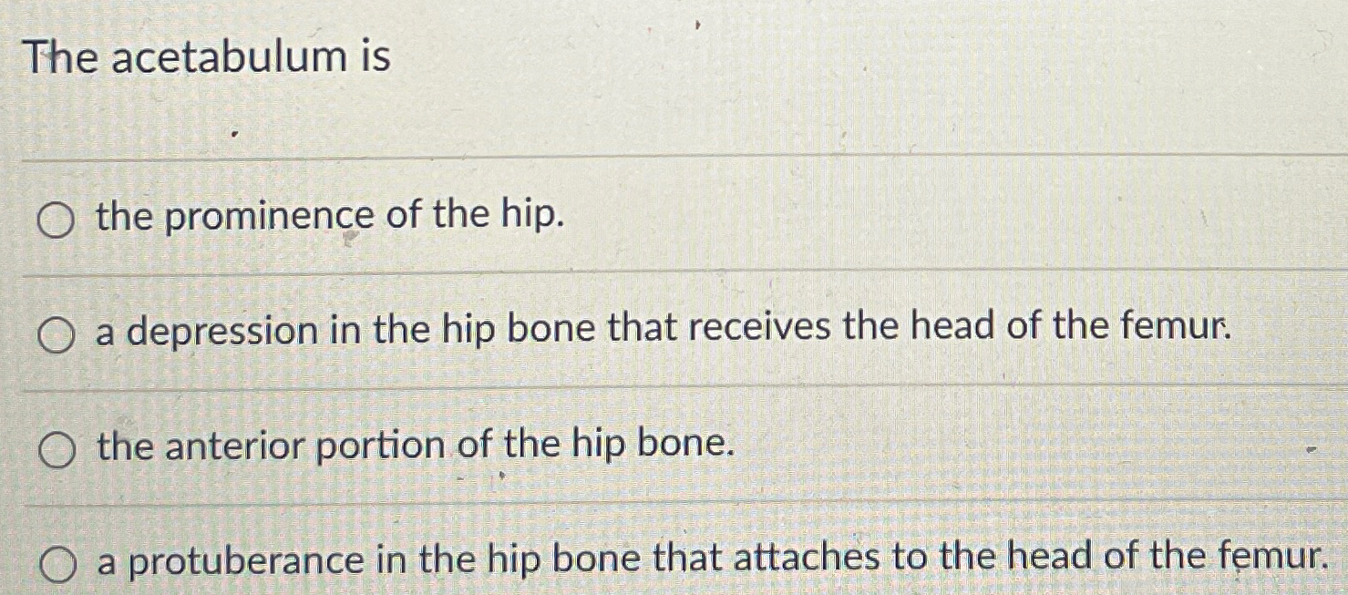 Solved The acetabulum isthe prominence of the hip.a | Chegg.com