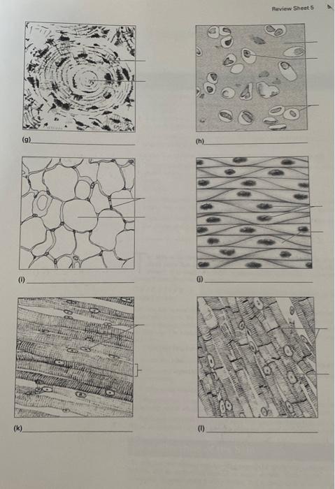 Solved (i) (i) (k) (I) | Chegg.com