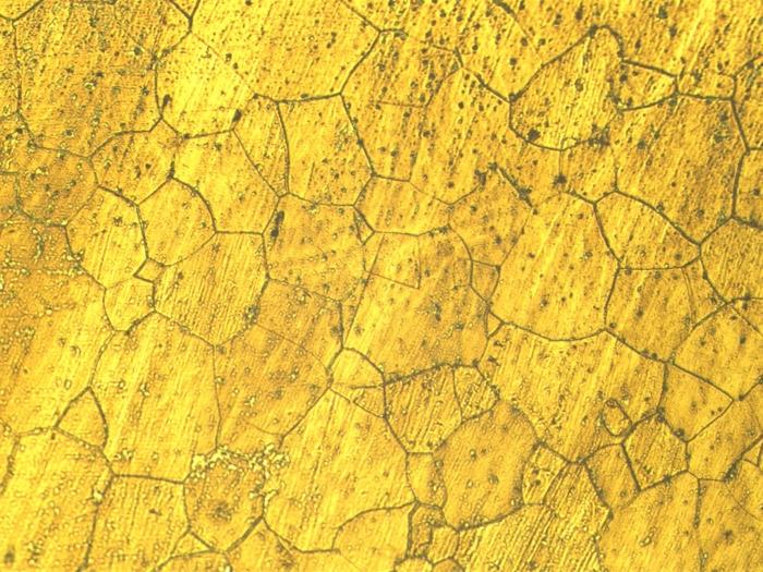 Solved By comparing the various micrographs uploaded , | Chegg.com