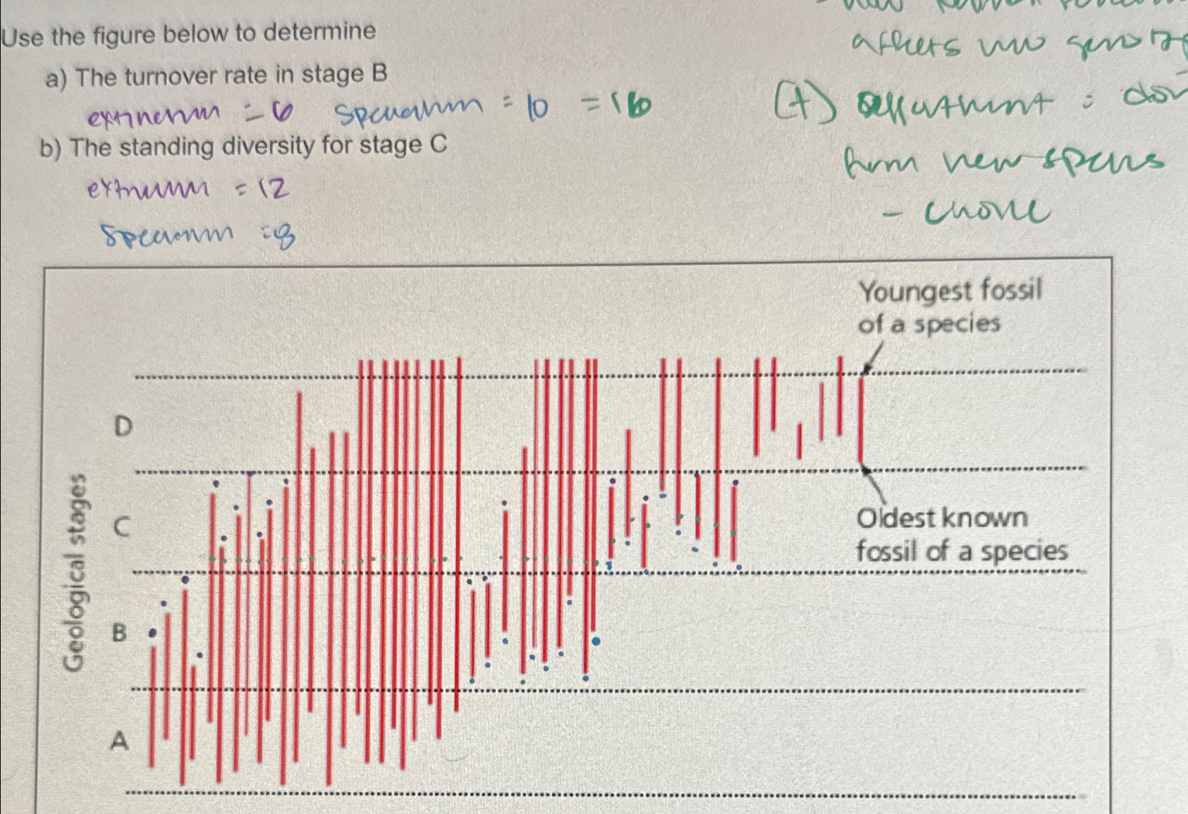 Solved Use the figure below to determinea) ﻿The turnover | Chegg.com