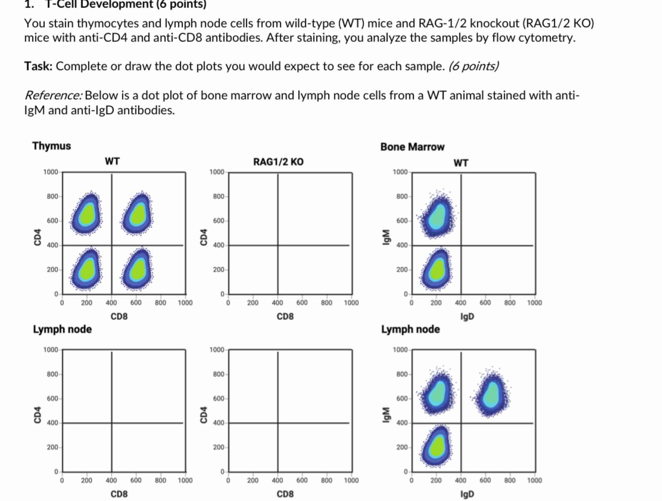Solved 1. ﻿T-Cell Development (6 ﻿points) ﻿You stain | Chegg.com