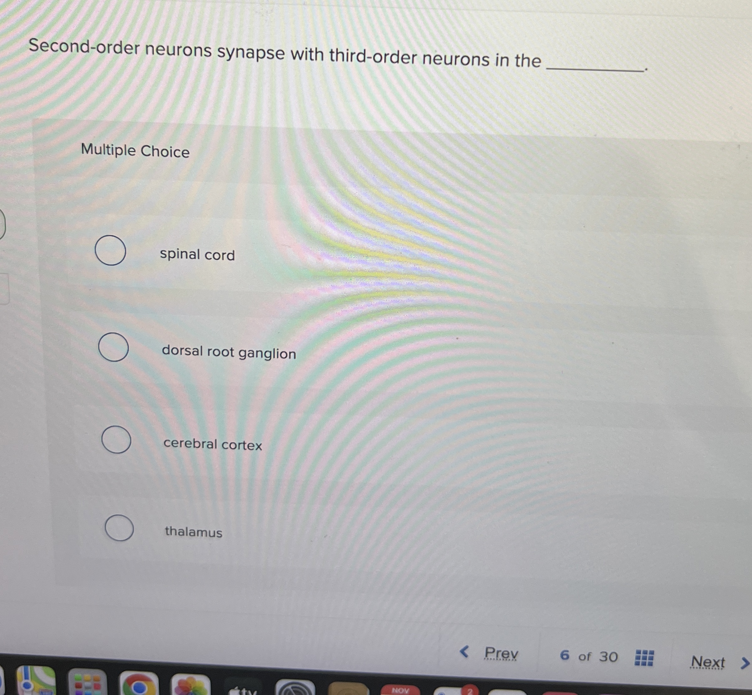 Solved Second-order neurons synapse with third-order neurons | Chegg.com
