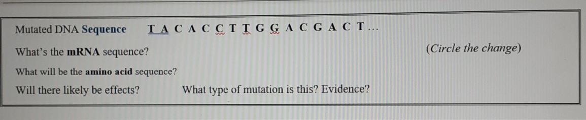 Solved (Circle the change) Mutated DNA Sequence TA CACCIIG | Chegg.com