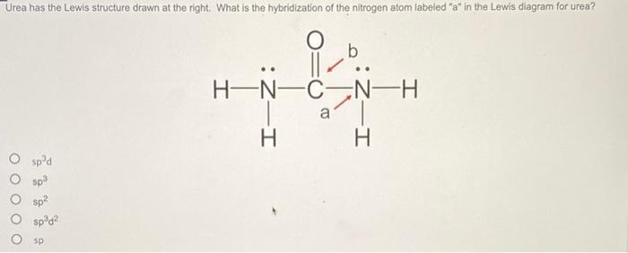 Urea Lewis Structure Draw The Lewis Structure For NH3 And State Its
