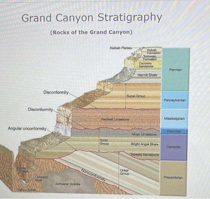 Solved Grand Canyon Stratigraphy (Rocks of the Grand Canyon) | Chegg.com