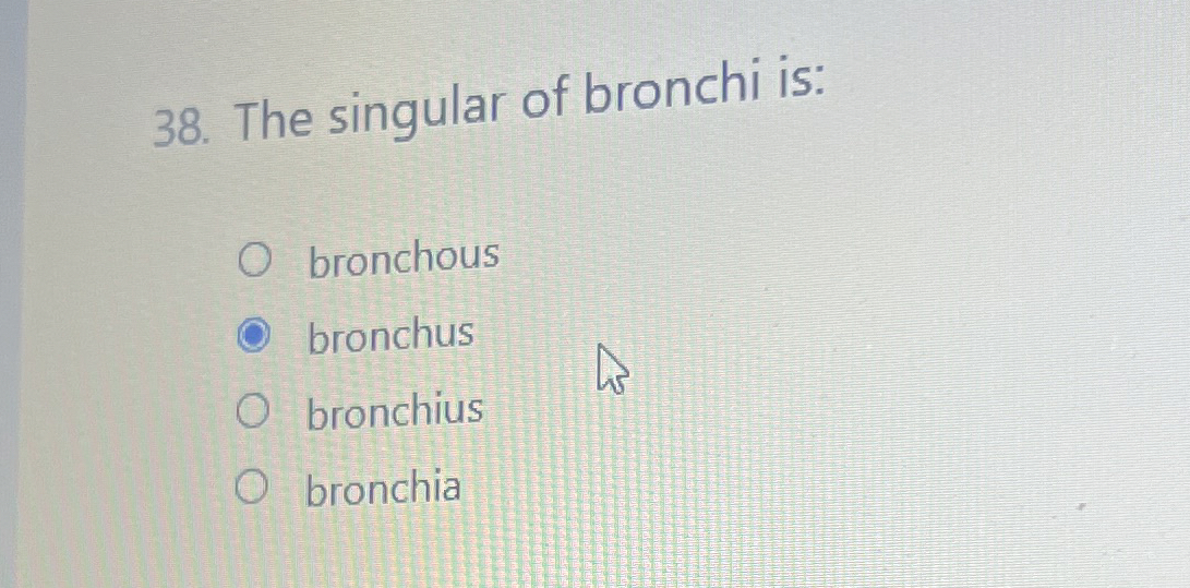 Solved The singular of bronchi | Chegg.com