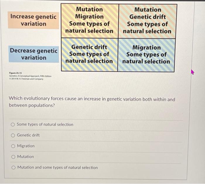 Which evolutionary forces cause an increase in | Chegg.com