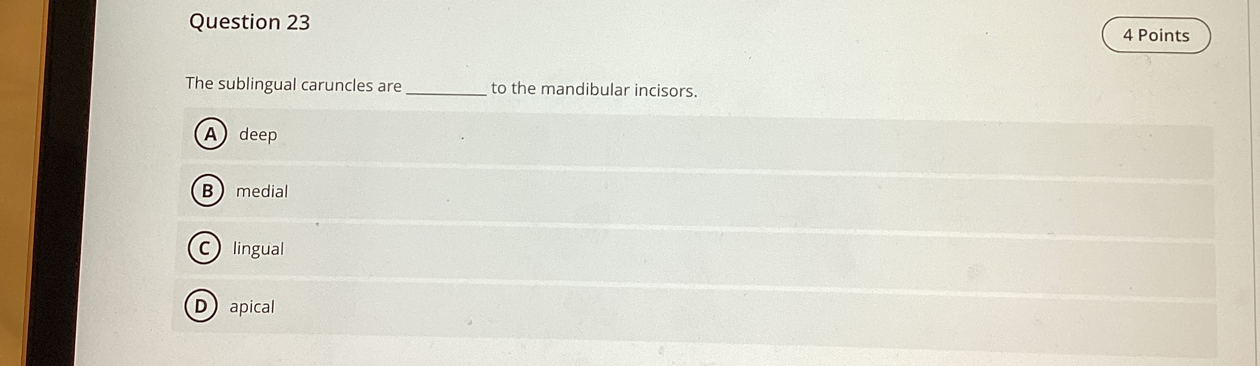 Solved Question 234 ﻿PointsThe sublingual caruncles are q, | Chegg.com