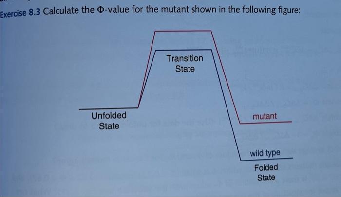 Solved Exercise 8.3 Calculate the Φ-value for the mutant | Chegg.com