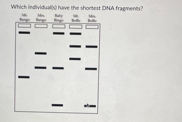 Solved Which individual(s) have the shortest DNA fragments? | Chegg.com
