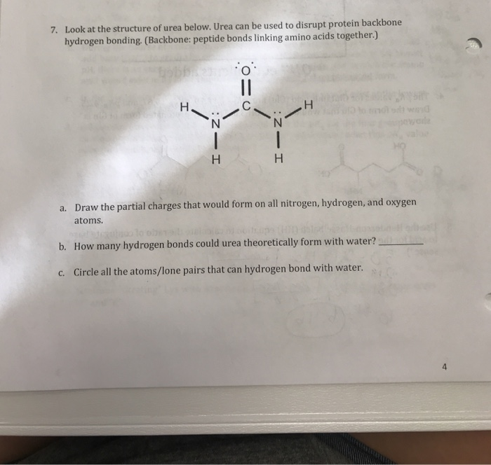Solved 7. Look at the structure of urea below. Urea can be | Chegg.com