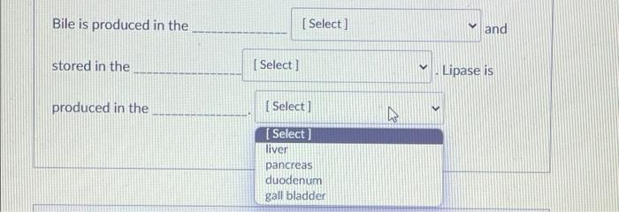 Solved Bile is produced in the [ Select] and stored in the [ | Chegg.com
