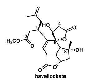 Solved In the illustrated molecule, C8 is a functional | Chegg.com